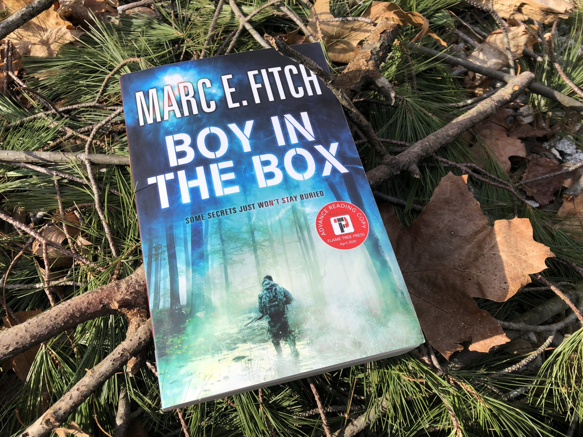[Book Review] Boy in the Box by Marc E. Fitch - Erica Robyn Reads