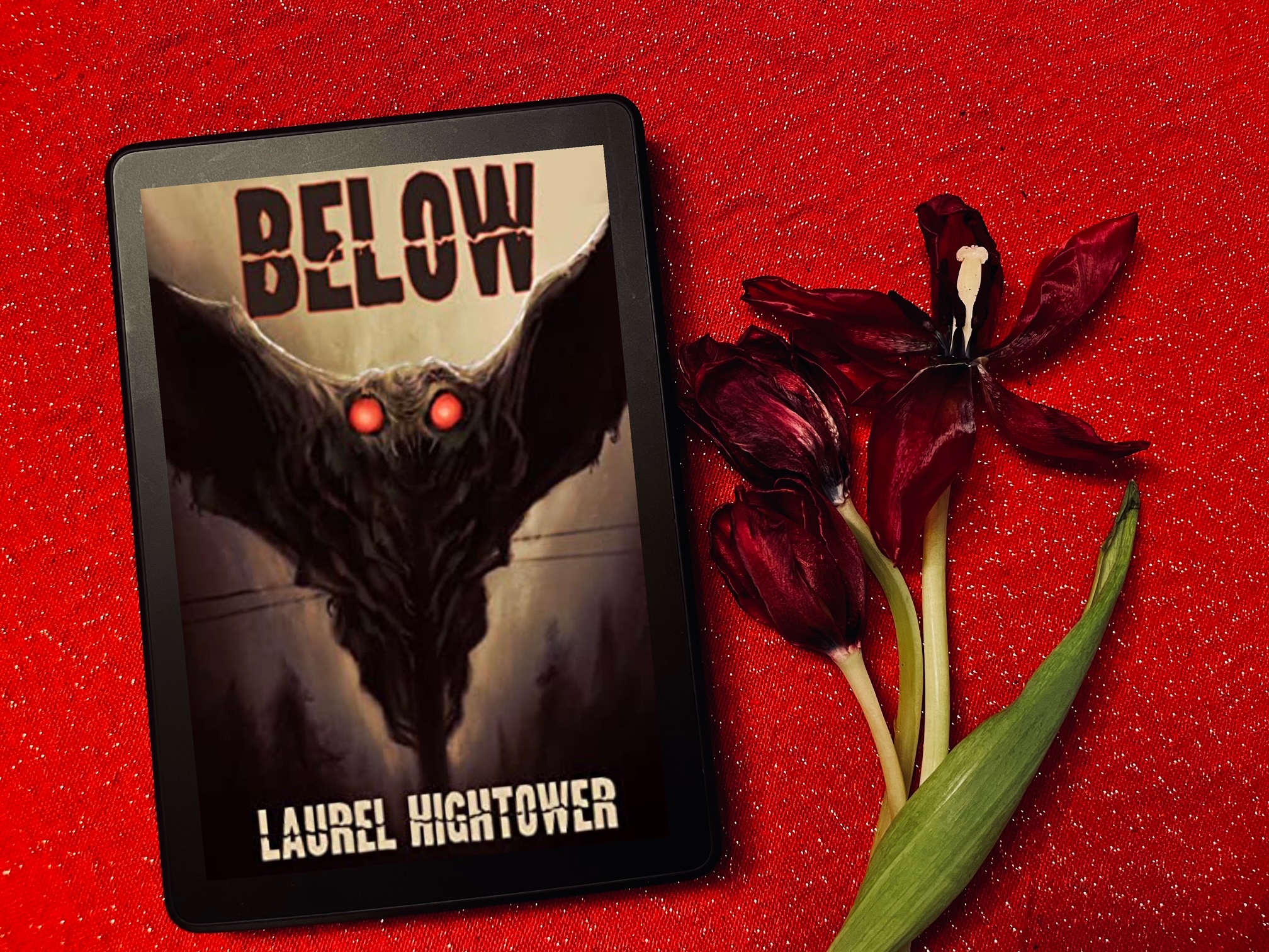 [Book Review] Below by Laurel Hightower - Erica Robyn Reads