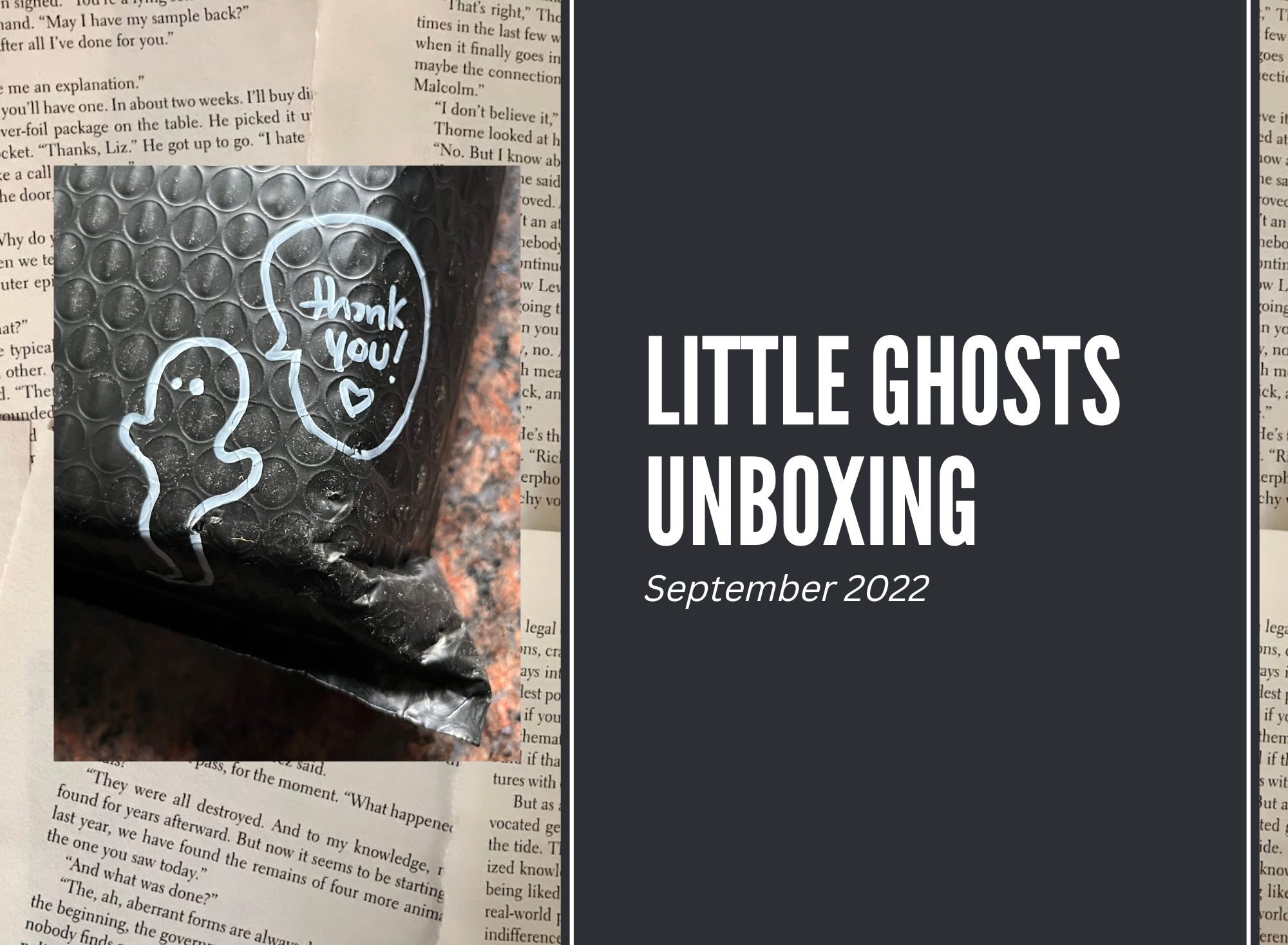 Little Ghosts Unboxing | September 2022 - Erica Robyn Reads
