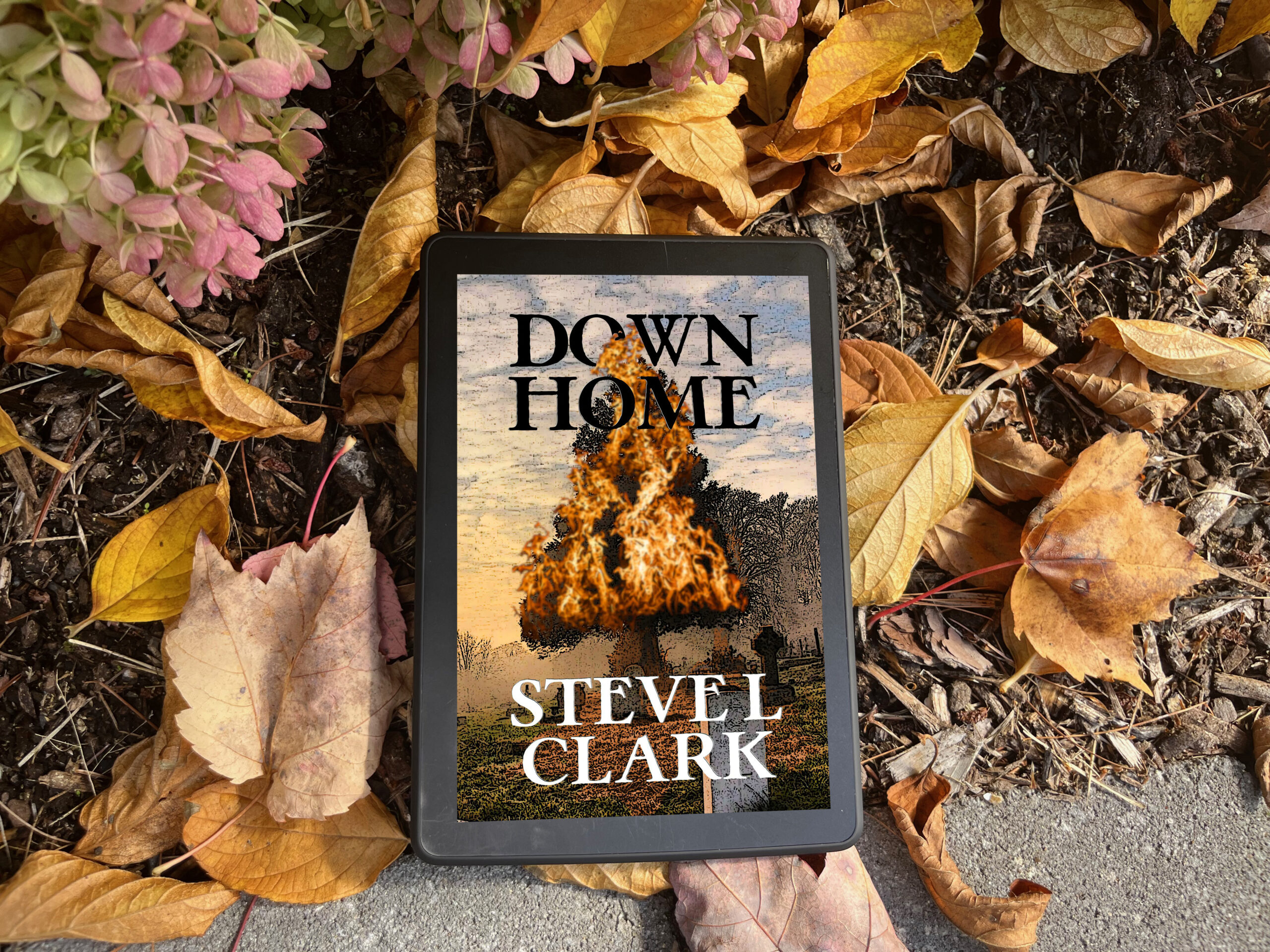 [Book Review] Down Home by Steve L. Clark - Erica Robyn Reads