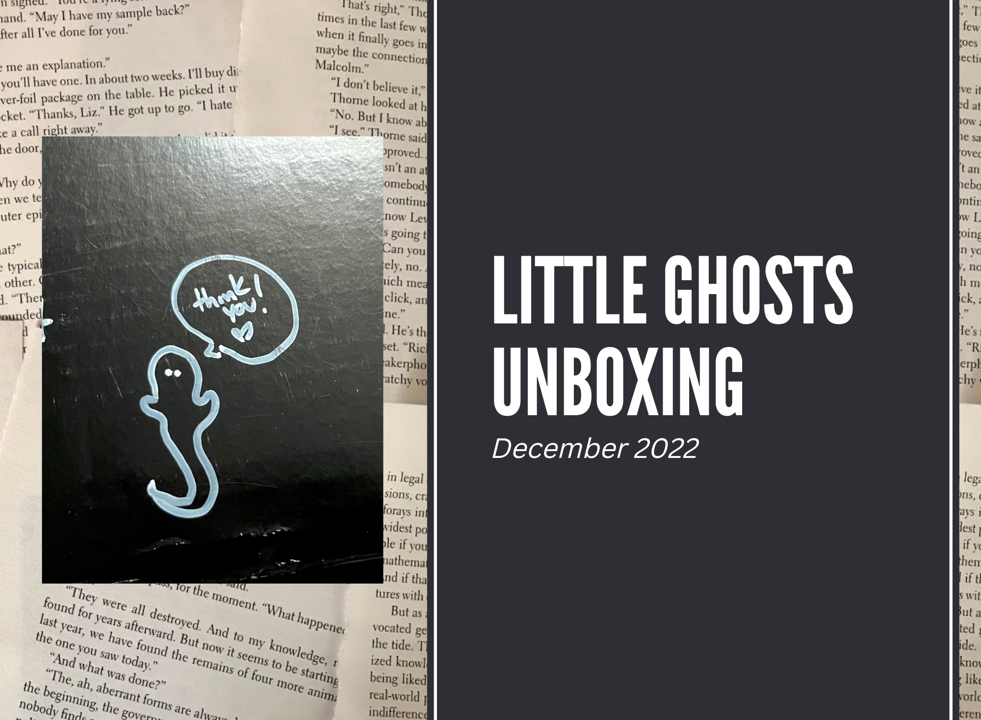 Little Ghosts Unboxing | December 2022 - Erica Robyn Reads