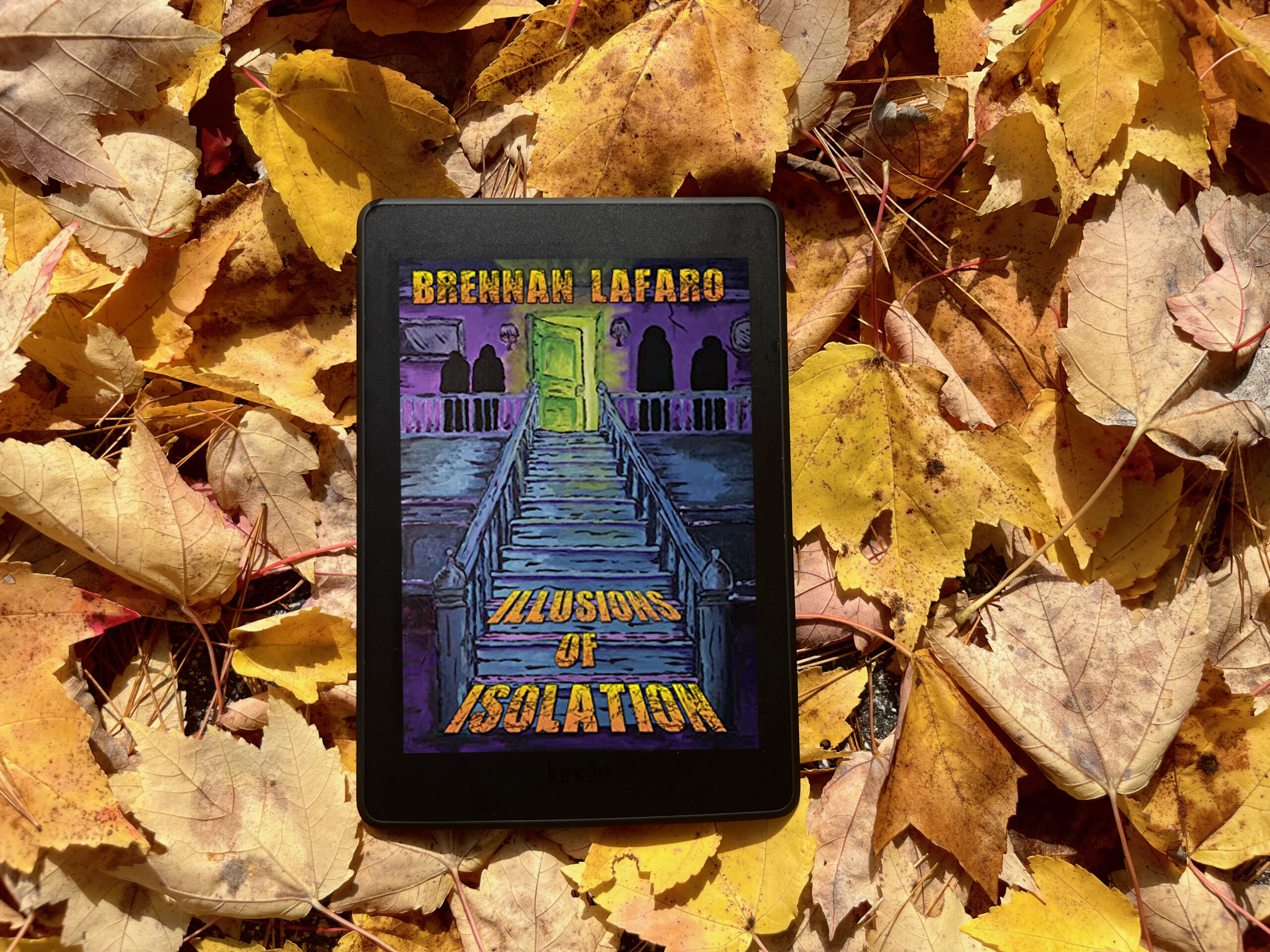 Illusions of Isolation by Brennan LaFaro | Book Review - Erica Robyn Reads