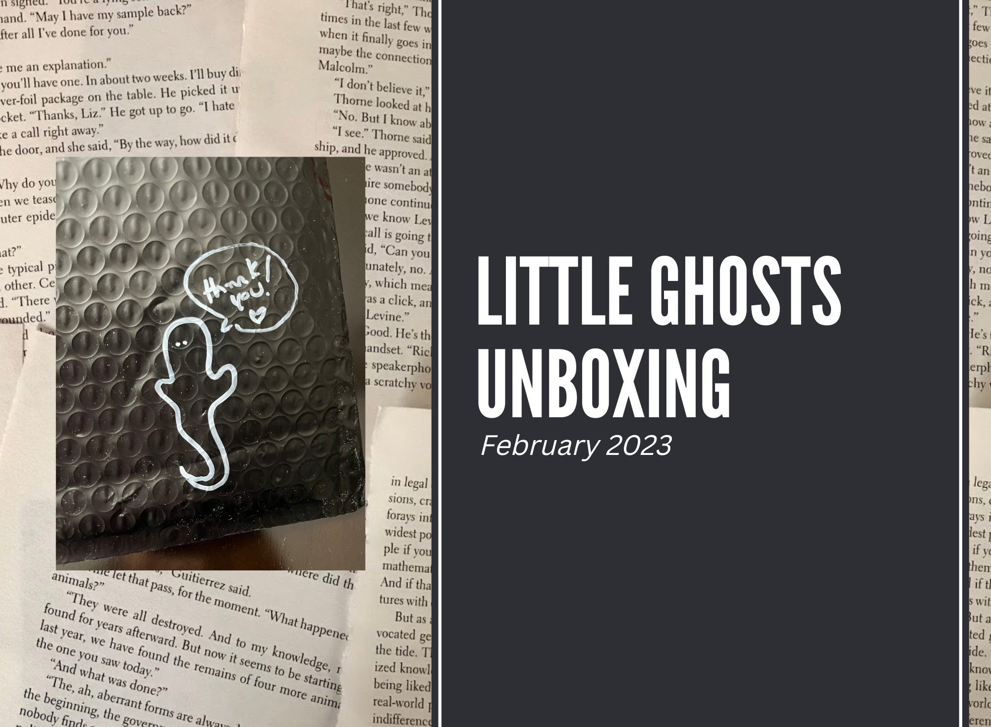 Little Ghosts Unboxing | February 2023 - Erica Robyn Reads