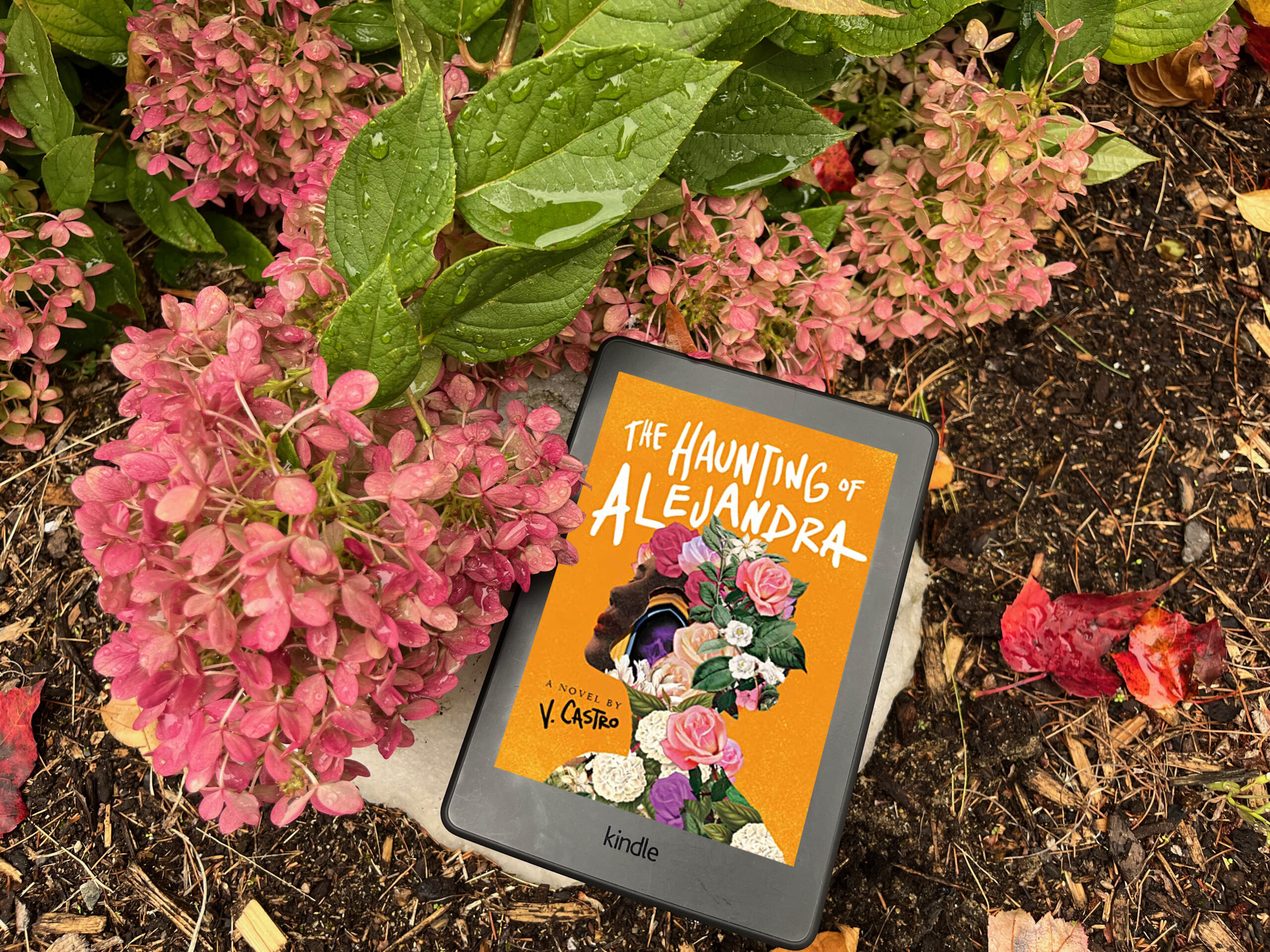 The Haunting of Alejandra by V. Castro | Book Review - Erica Robyn Reads