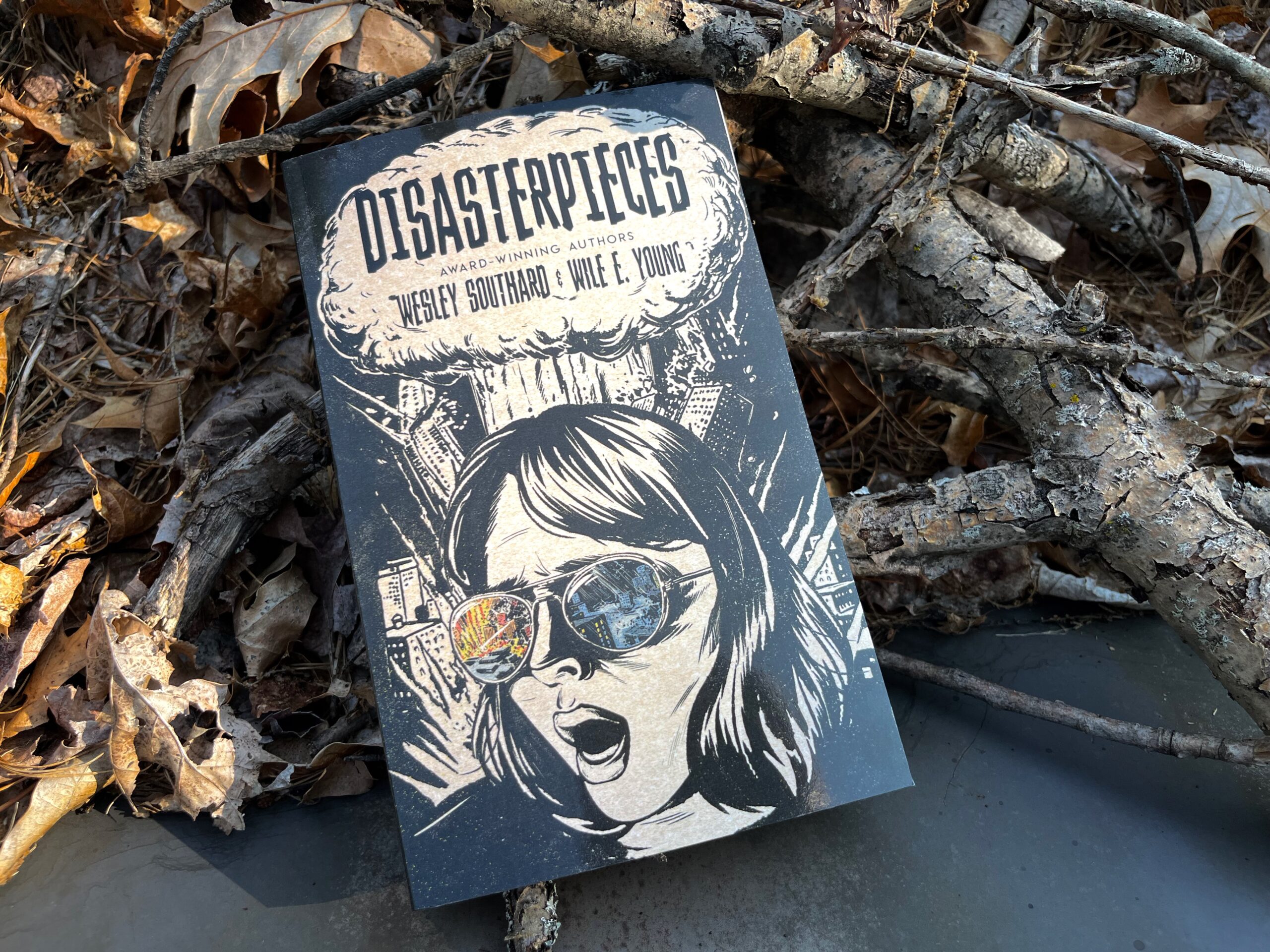 Disasterpieces by Wesley Southard and Wile E. Young | Book Review ...