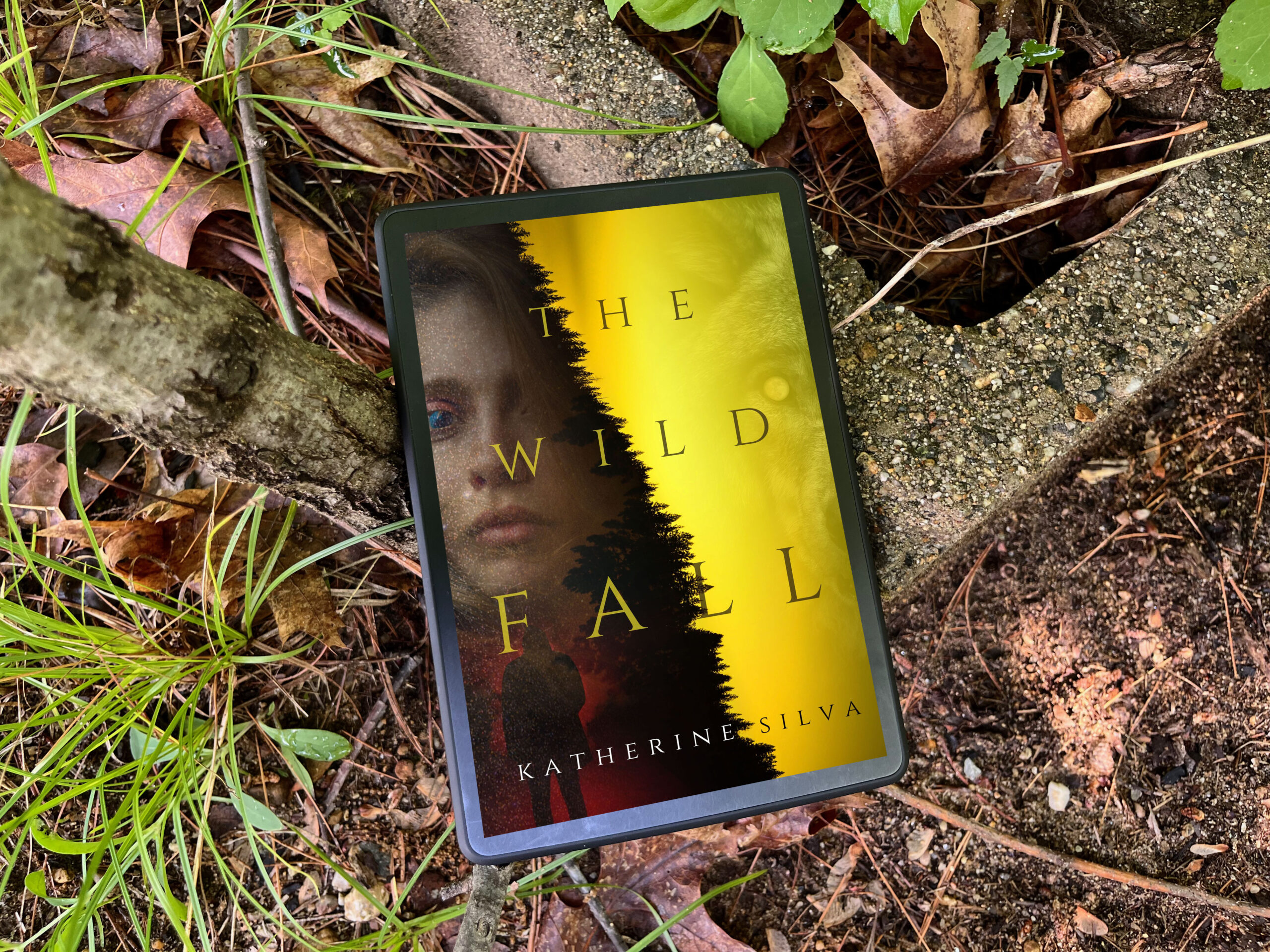 The Wild Fall by Katherine Silva | Book Review - Erica Robyn Reads