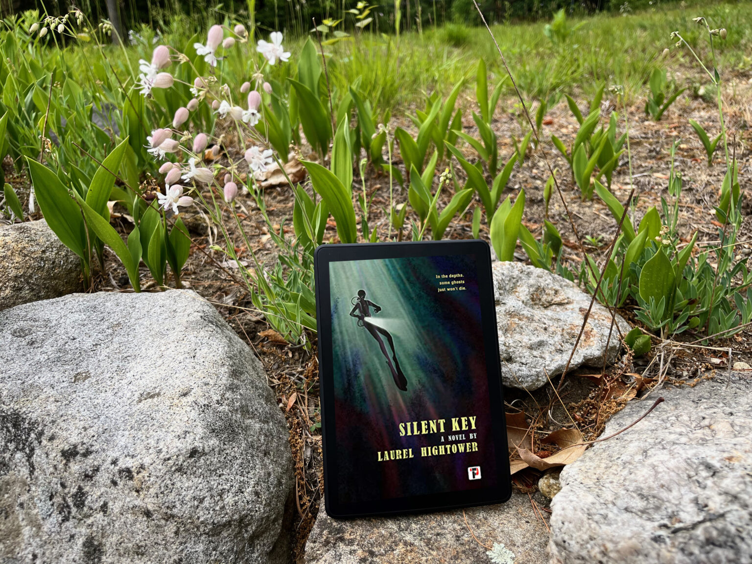 Silent Key by Laurel Hightower | Book Review - Erica Robyn Reads