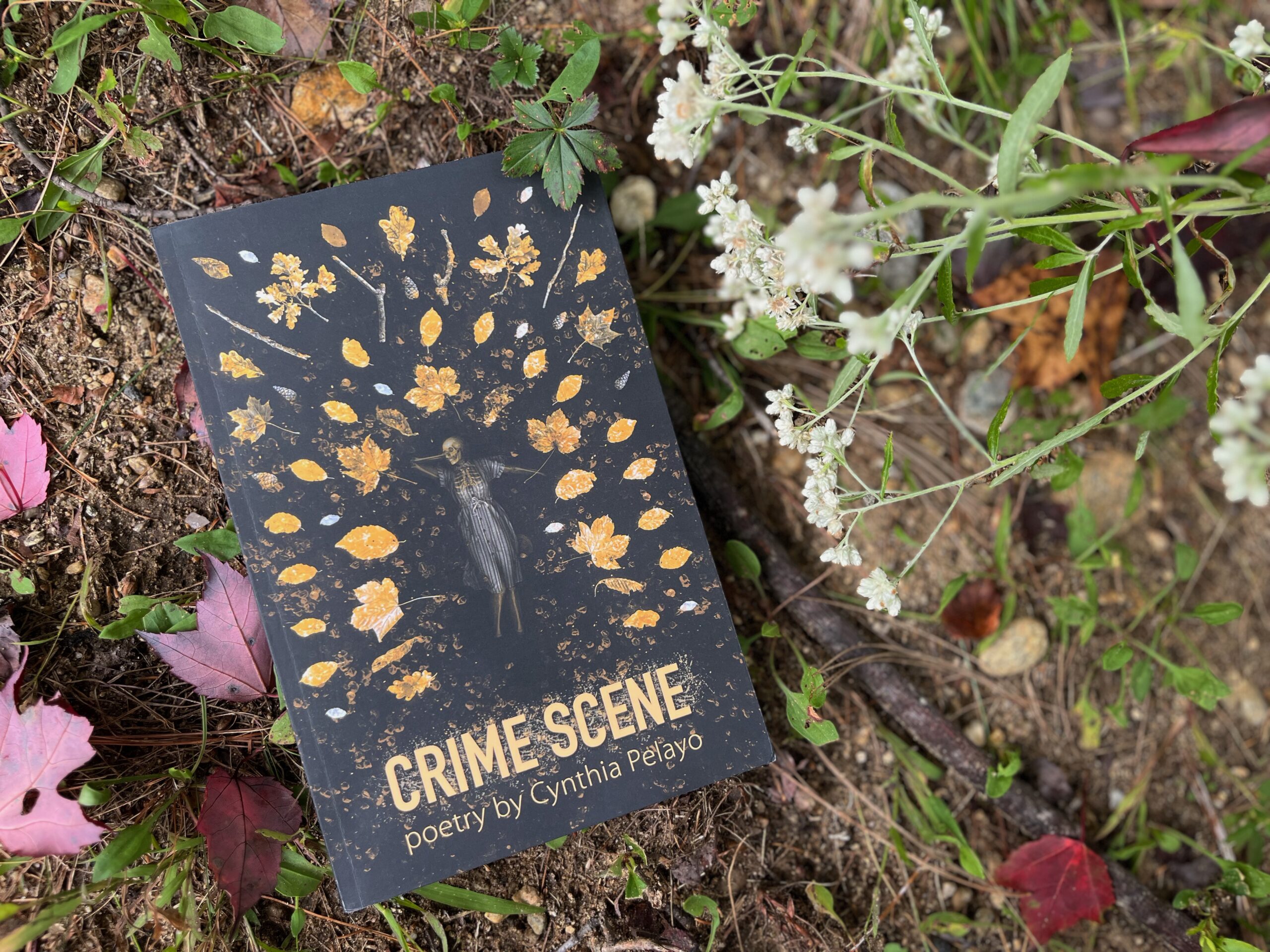 Crime Scene by Cynthia Pelayo | Book Review - Erica Robyn Reads