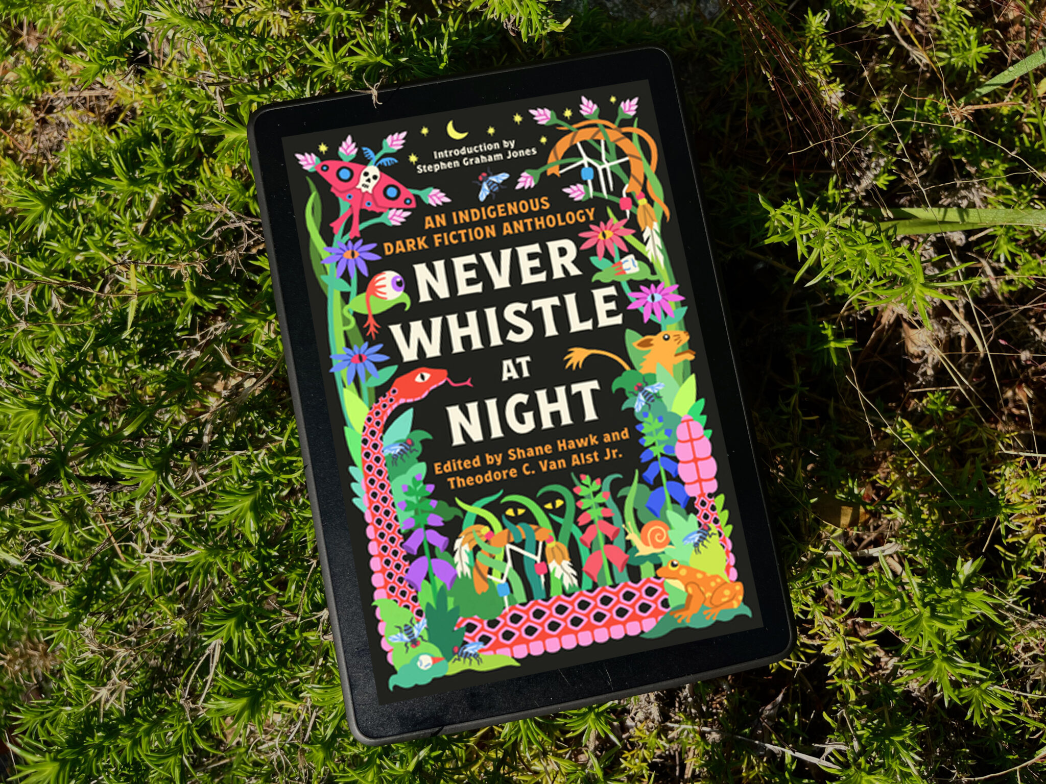 Never Whistle at Night: An Indigenous Dark Fiction Anthology | Book Review - Erica Robyn Reads