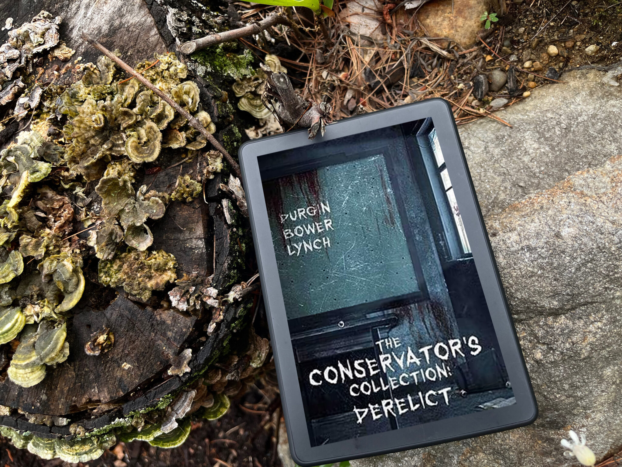 The Conservator’s Collection: Derelict by John Durgin, Jay Bower & John ...