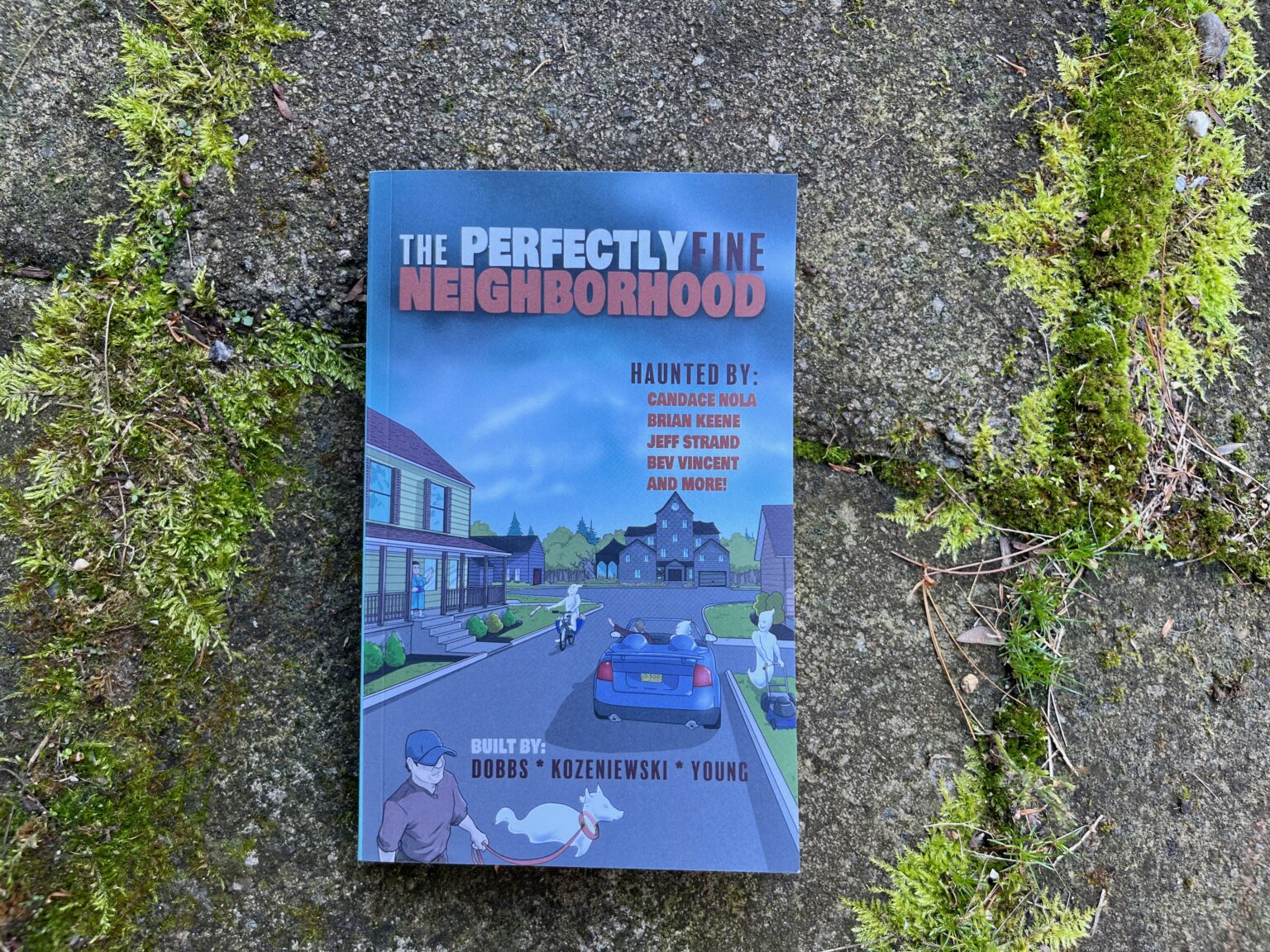 The Perfectly Fine Neighborhood | Book Review - Erica Robyn Reads