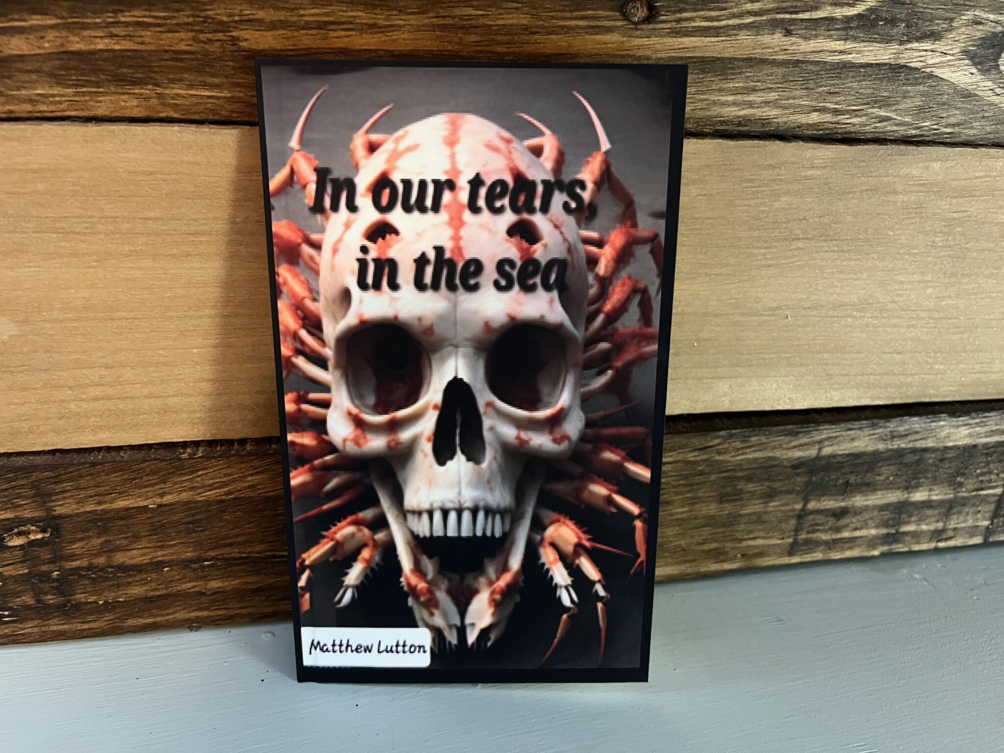 In Our Tears, In The Sea by Matthew Lutton | Book Review - Erica Robyn ...