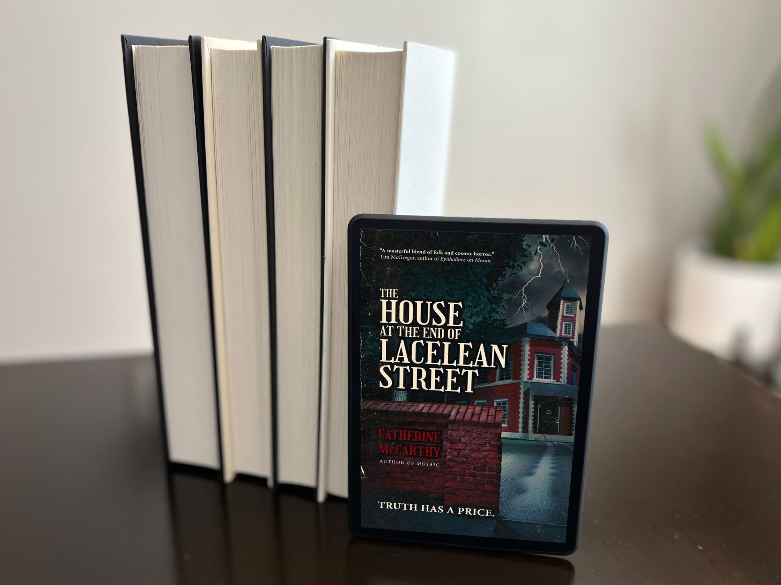 The House At the End of Lacelean Street by Catherine McCarthy | Book Review - Erica Robyn Reads