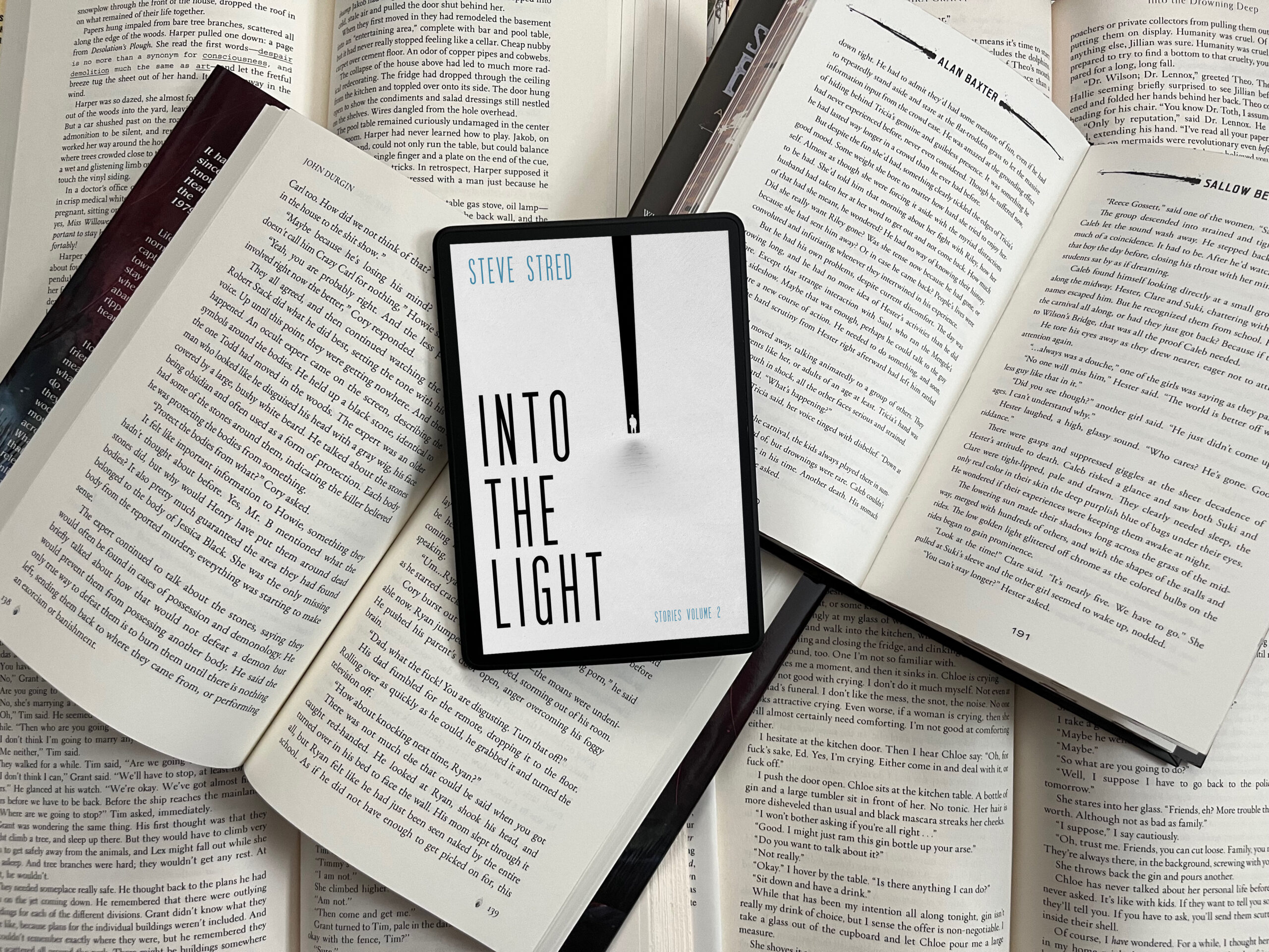 Into the Light: Stories Volume 2 by Steve Stred | Book Review - Erica Robyn Reads
