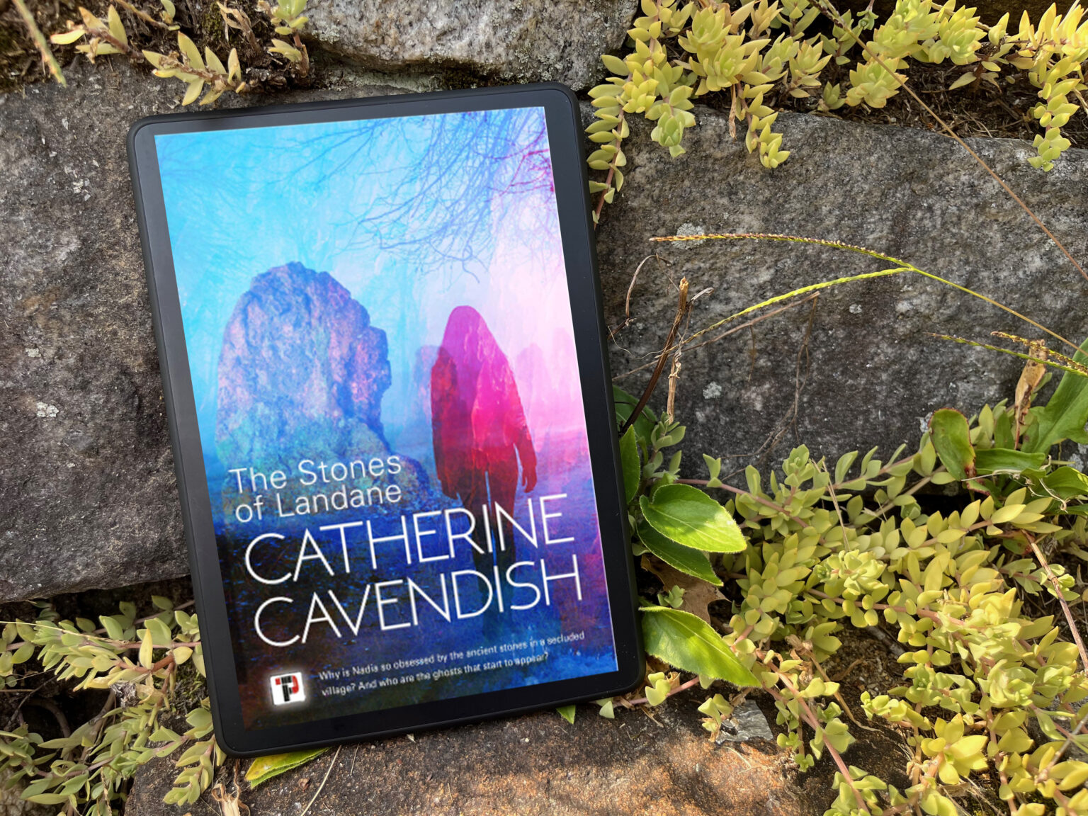 The Stones of Landane by Catherine Cavendish | Book Review - Erica Robyn Reads