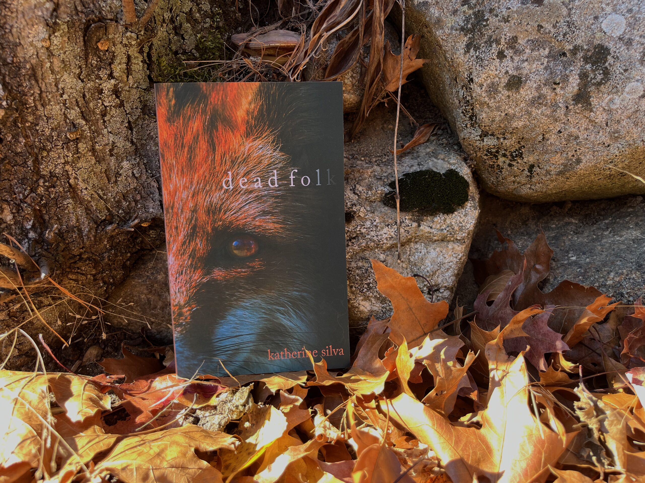 Dead Folk by Katherine Silva | Book Review - Erica Robyn Reads