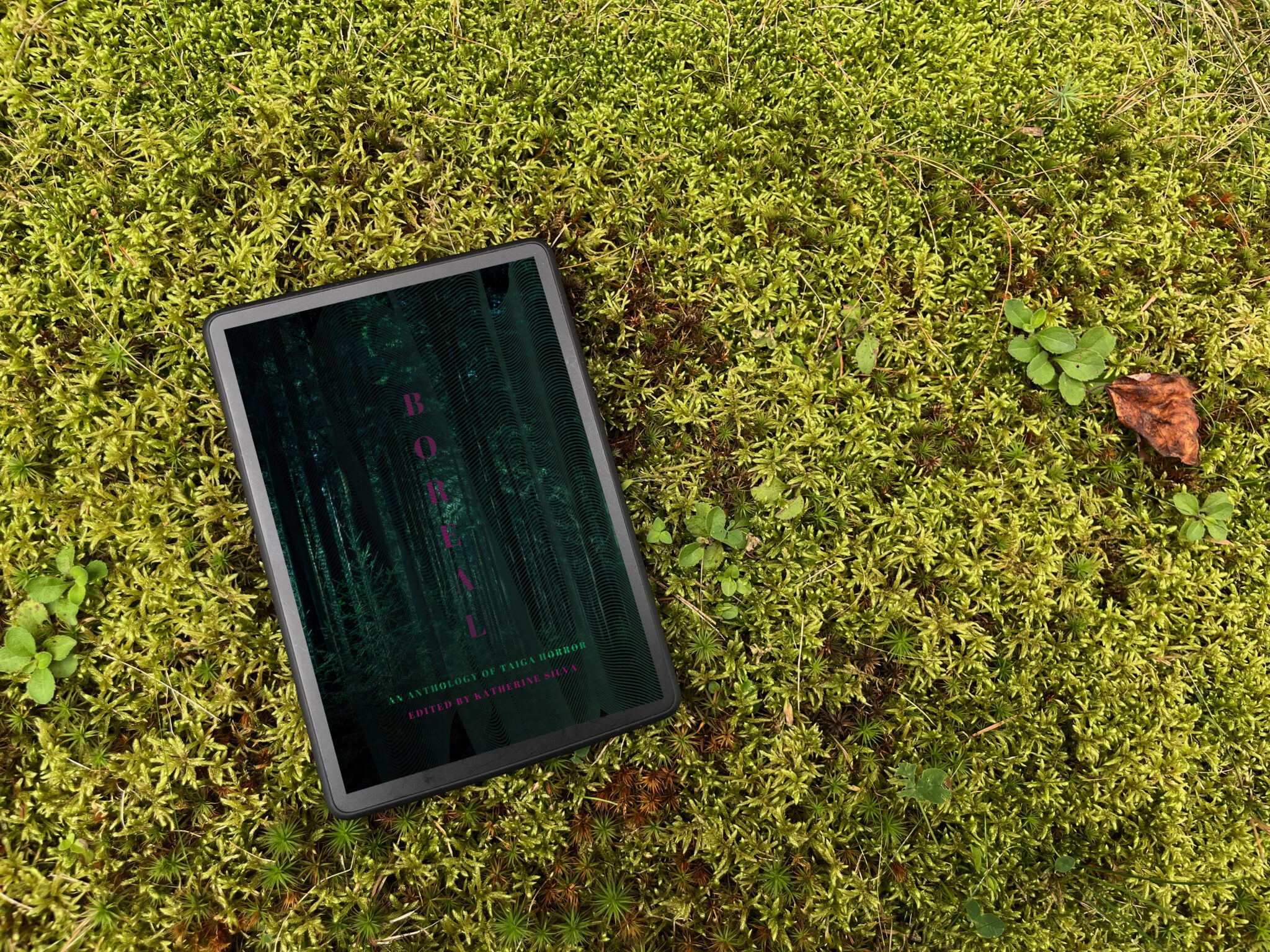 BOREAL: An Anthology of Taiga Horror edited by Katherine Silva | Book Review - Erica Robyn Reads