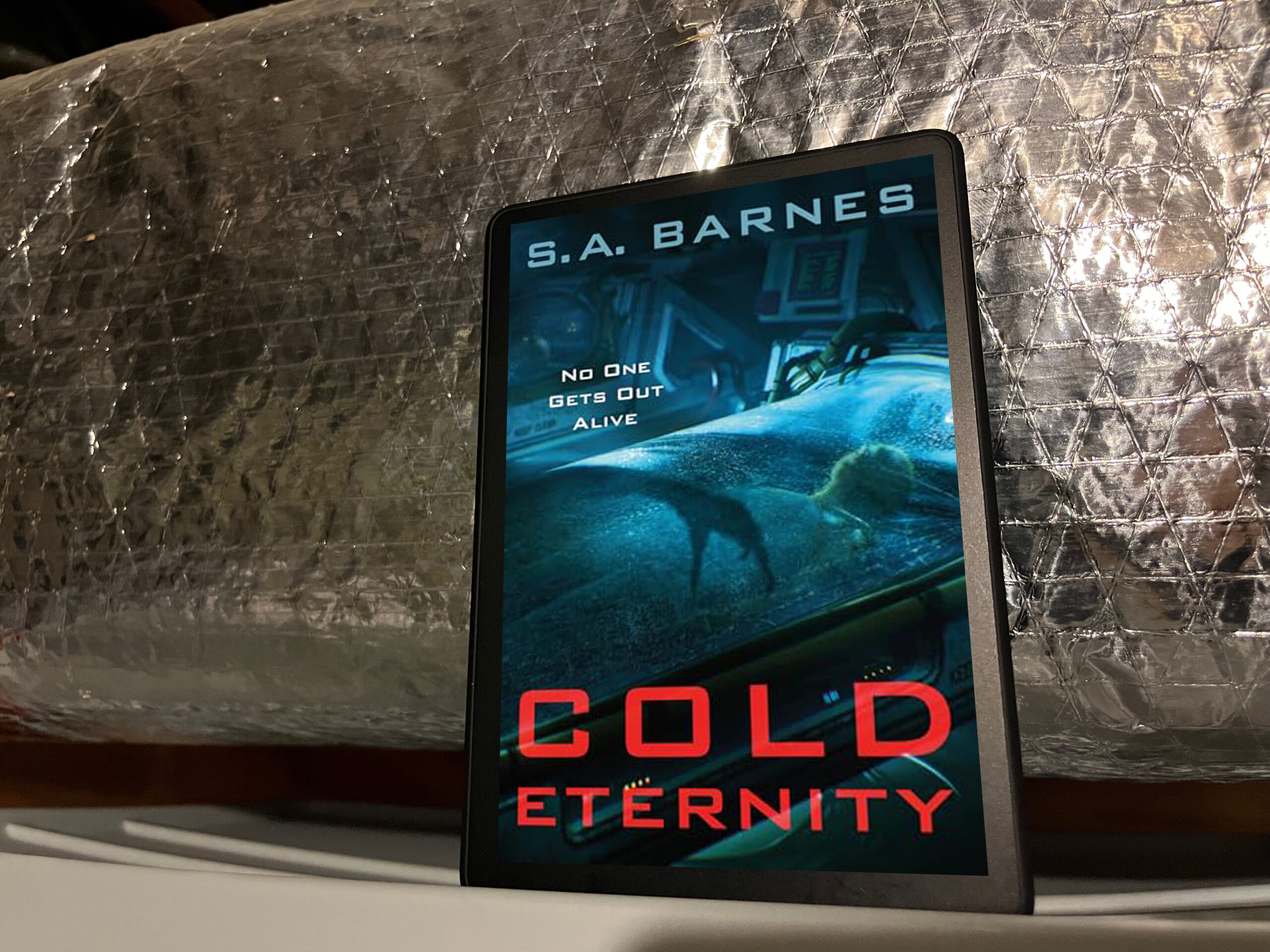 Cold Eternity by S.A. Barnes | Book Review - Erica Robyn Reads