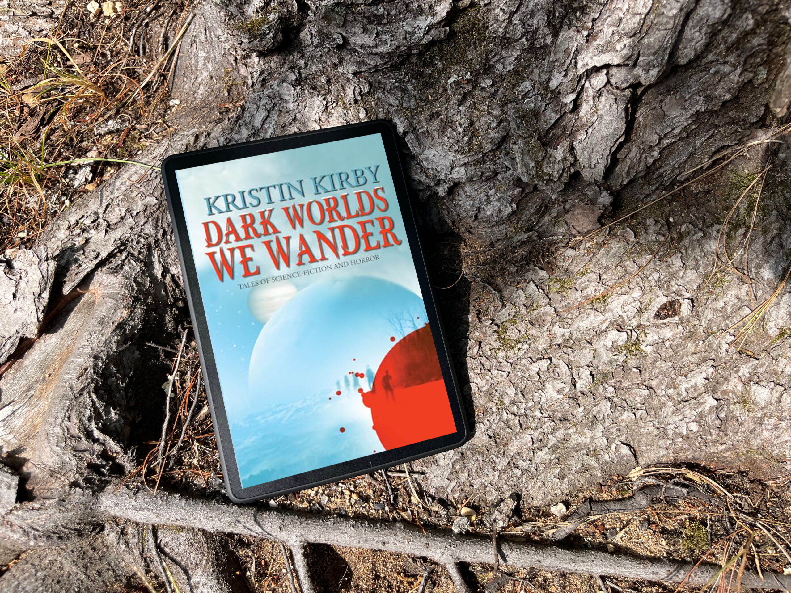 Dark Worlds We Wander by Kristin Kirby | Book Review - Erica Robyn Reads
